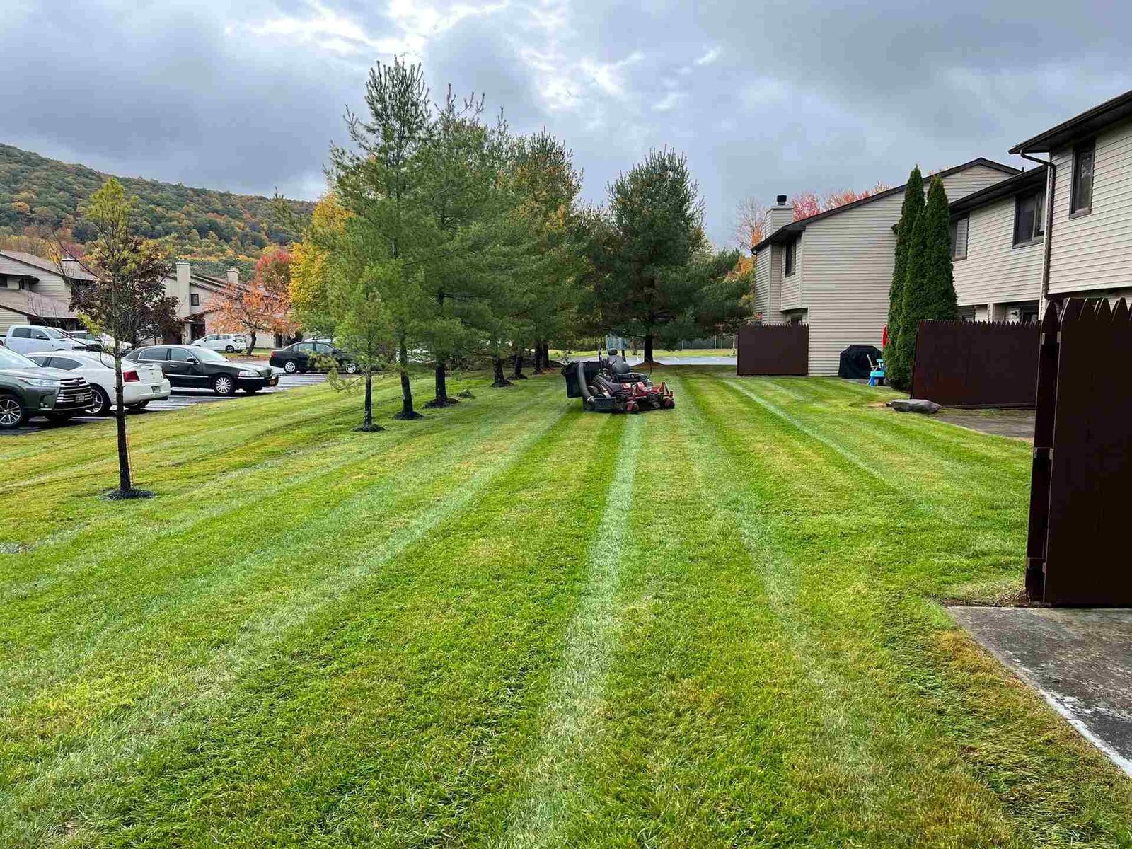 Residential Lawn Management | Lawn Spa Landscaping | Newburgh, New ...